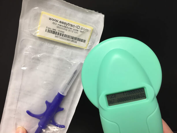 Animaux de compagnie - Groupe Vétérinaire de la Batiscan inc.